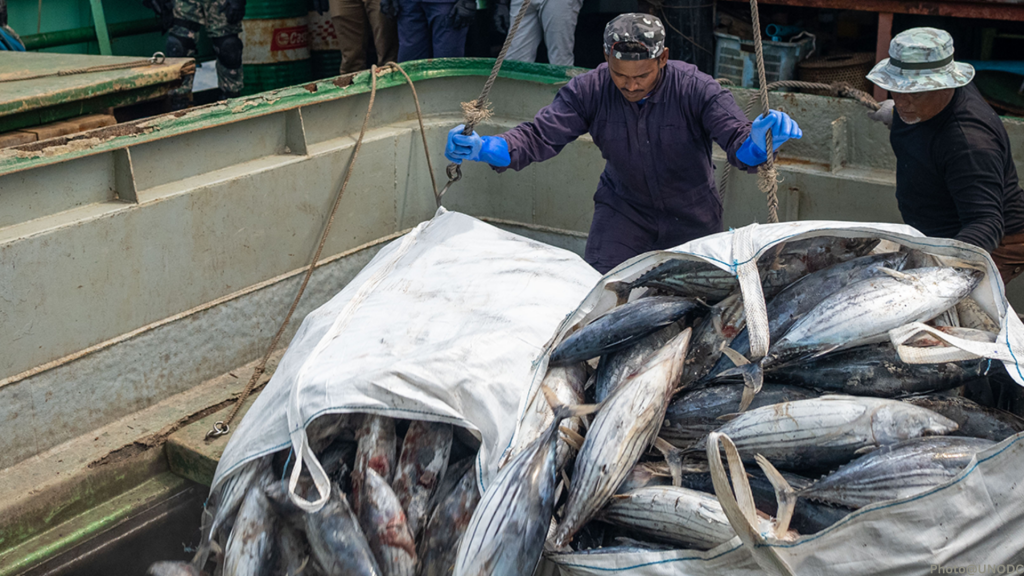 Framing Small States' Food Security and Fisheries Protection – A ...
